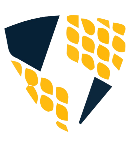 SolGuard - Protect Your Digital Assets
